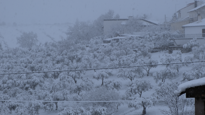 Snow in the Azores - The Portugal News