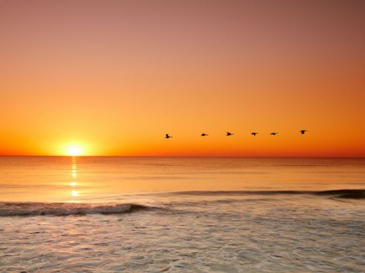 A Spike in the Ocean - The Portugal News