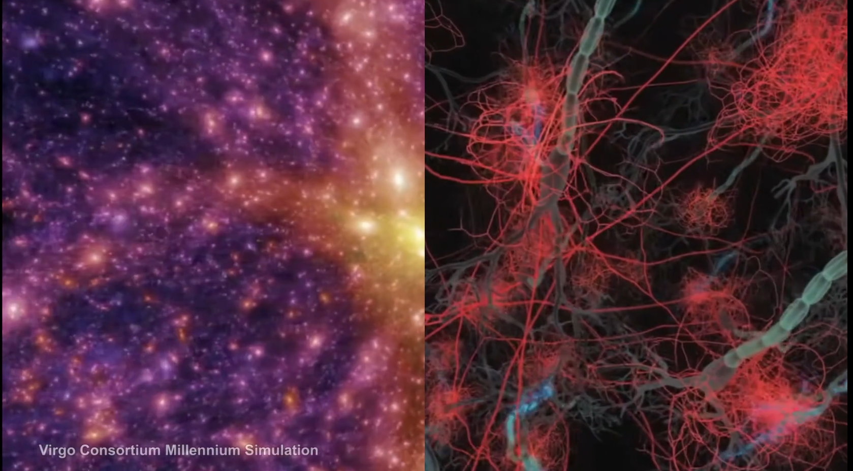 Unravelling the Mysteries of the Universe: Connecting the Microcosm and ...