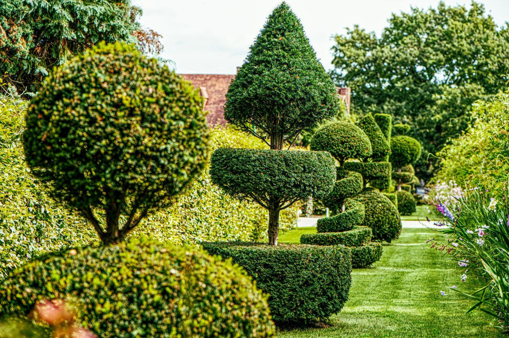 Guide d'initiation à l'art topiaire - The Portugal News