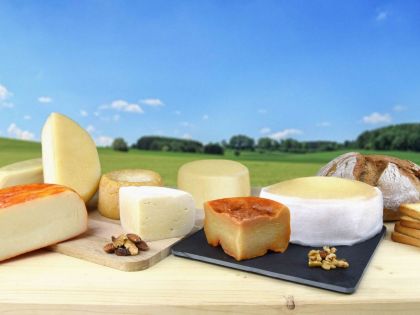 7 of the best Portuguese cheeses - The Portugal News
